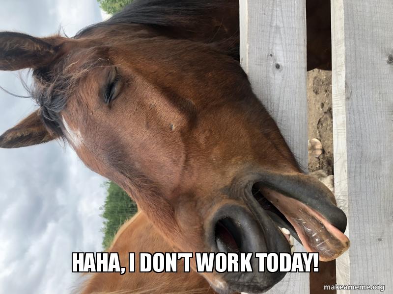 Horse Laugh Memes