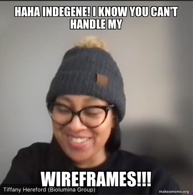 haha indegene! i know you can't handle my wireframes!!! Meme Generator