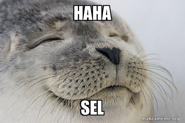 Haha Sel - Satisfied Seal Meme Generator