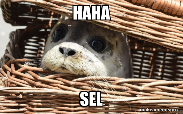 haha sel - Impending Doom Seal Meme Generator