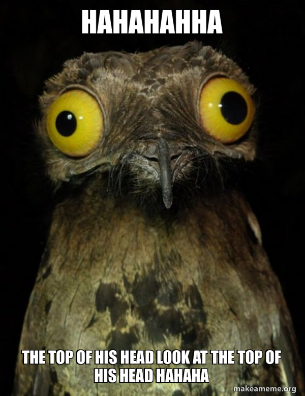 hahahahha the top of his head look at the top of his head hahaha ...