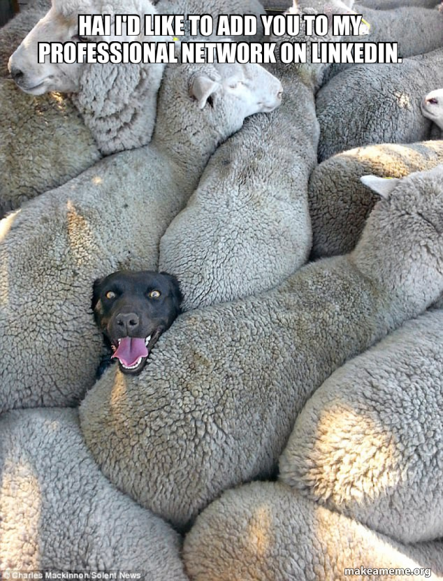HAI I'd like to add you to my professional network on LinkedIn. Meme ...