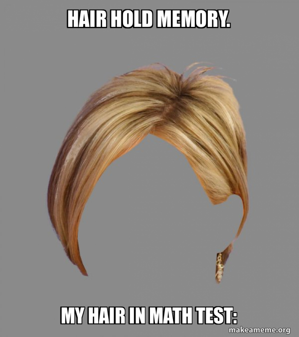 hair hold memory. my hair in math test: - The Karen Hair Meme Generator