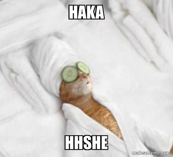 Haka Hhshe - Pampered Cat Meme | Make a Meme