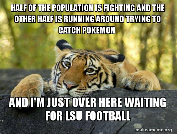 Lsu Tiger Memes How To (Really) Compete In Facebook Ads: The 9 Point