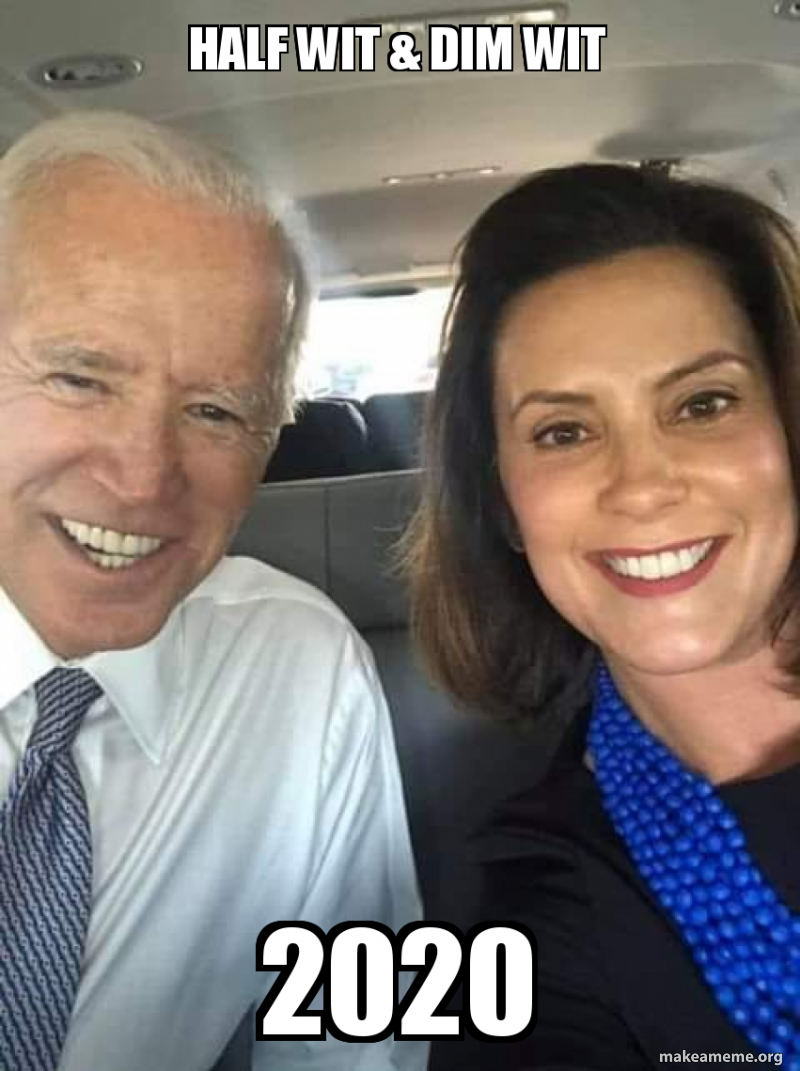 half wit & dim wit 2020 Meme Generator