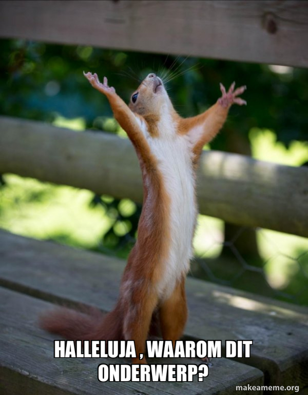 Halleluja , waarom dit onderwerp? - Happy Squirrel Meme Generator