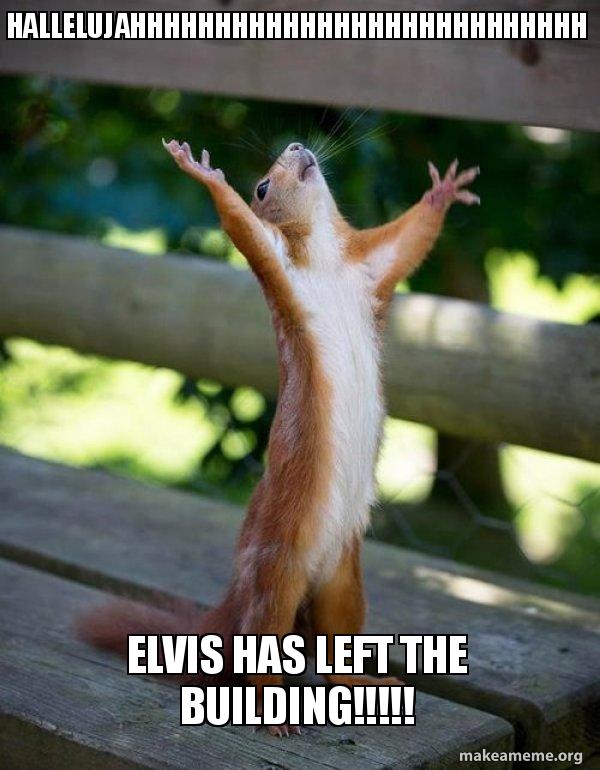 HALLELUJAHHHHHHHHHHHHHHHHHHHHHHHHHHH ELVIS HAS LEFT THE BUILDING ...