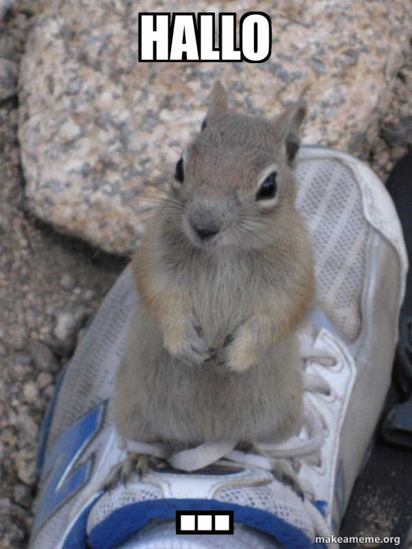 hallo ... - Standover Squirrel Meme Generator