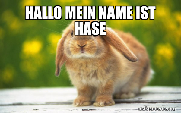 Hallo mein Name ist Hase - Regretful Rabbit Meme Generator