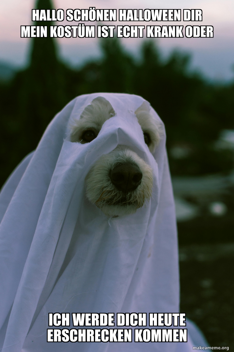 Hallo schönen Halloween dir mein Kostüm ist echt krank oder Ich werde ...
