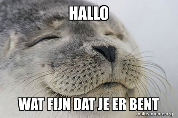 hallo wat fijn dat je er bent - Satisfied Seal Meme Generator