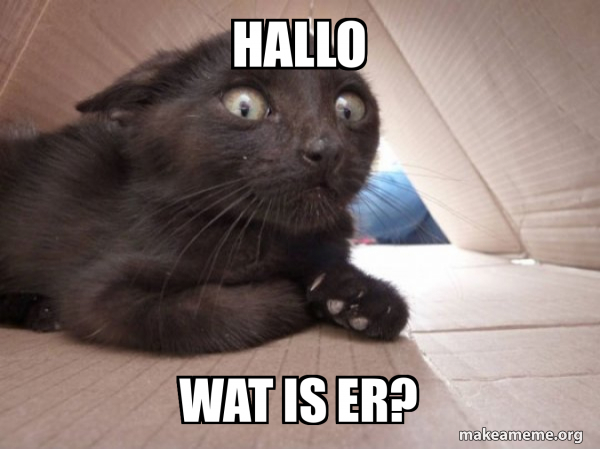 hallo wat is er? - Schitzo Cat Meme Generator