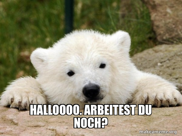 Halloooo. Arbeitest du noch? - Popular Opinion Bear Meme Generator
