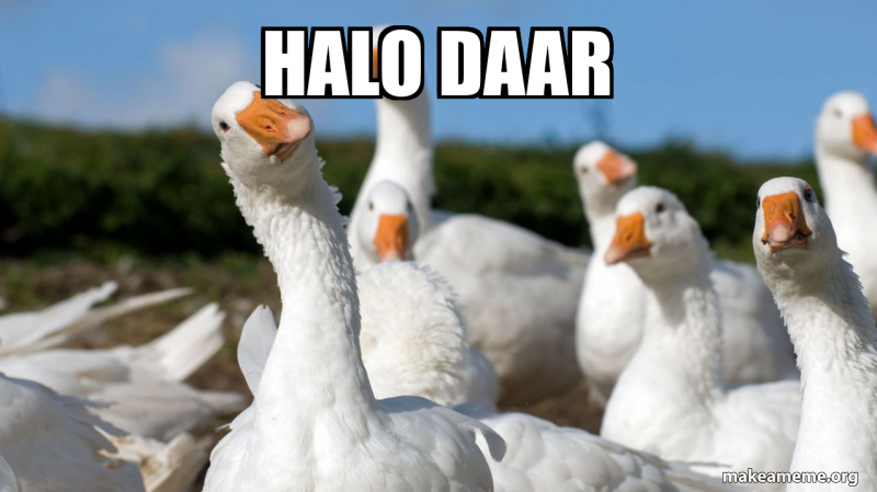 halo daar Meme Generator