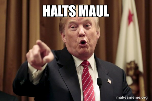 HALTS MAUL - Donald Trump Says Meme Generator