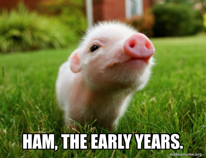 Ham, the early years. Meme Generator