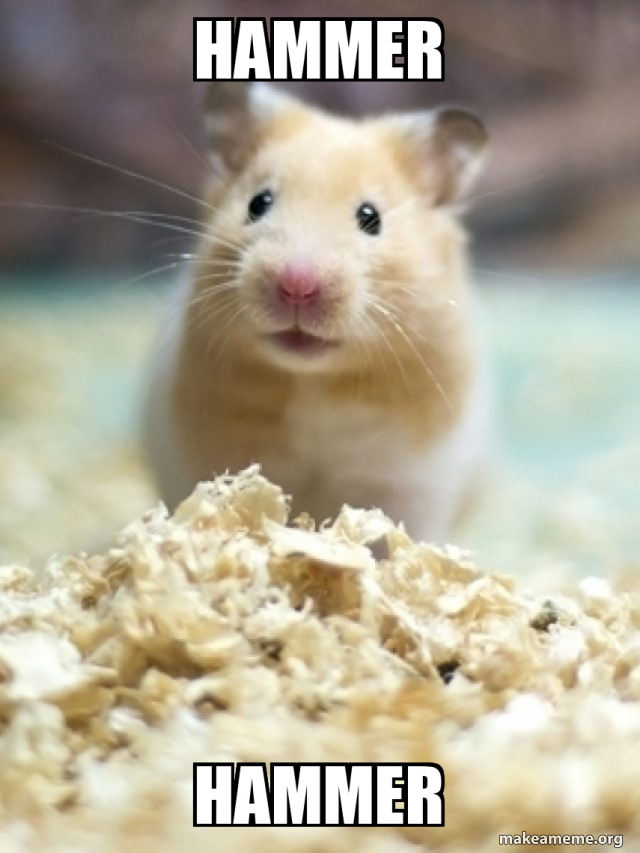 Hammer Hammer Meme Generator