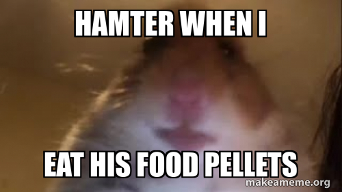 Hamter when i Eat His food pellets Meme Generator