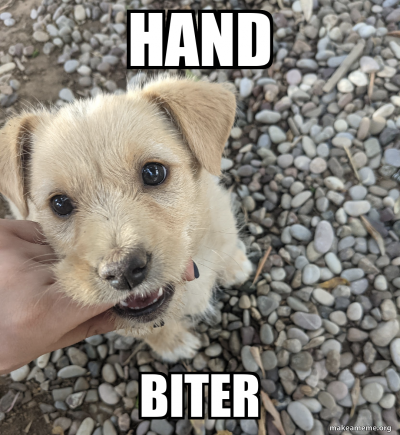 Hand Biter Meme Generator