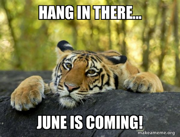 Hang in there... June is coming! - Confession Tiger Meme Generator