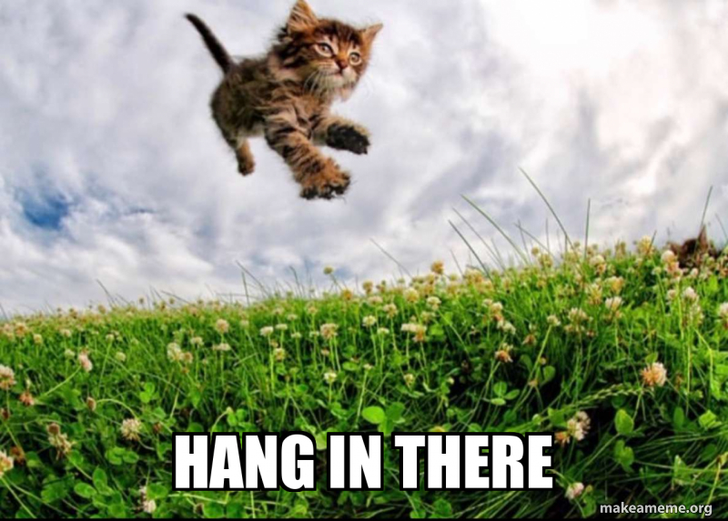Hang in there Meme Generator