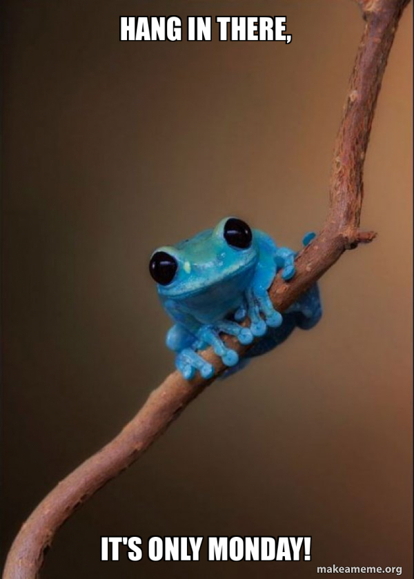 Hang in there, It's only Monday! - Small Fact Frog Meme Generator