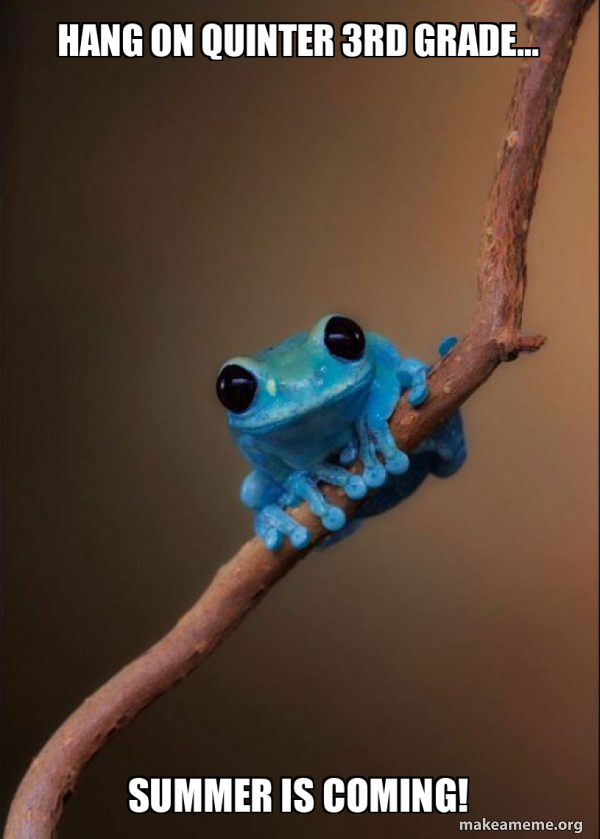 Hang On Quinter 3rd Grade... Summer Is Coming! - Small Fact Frog Meme ...