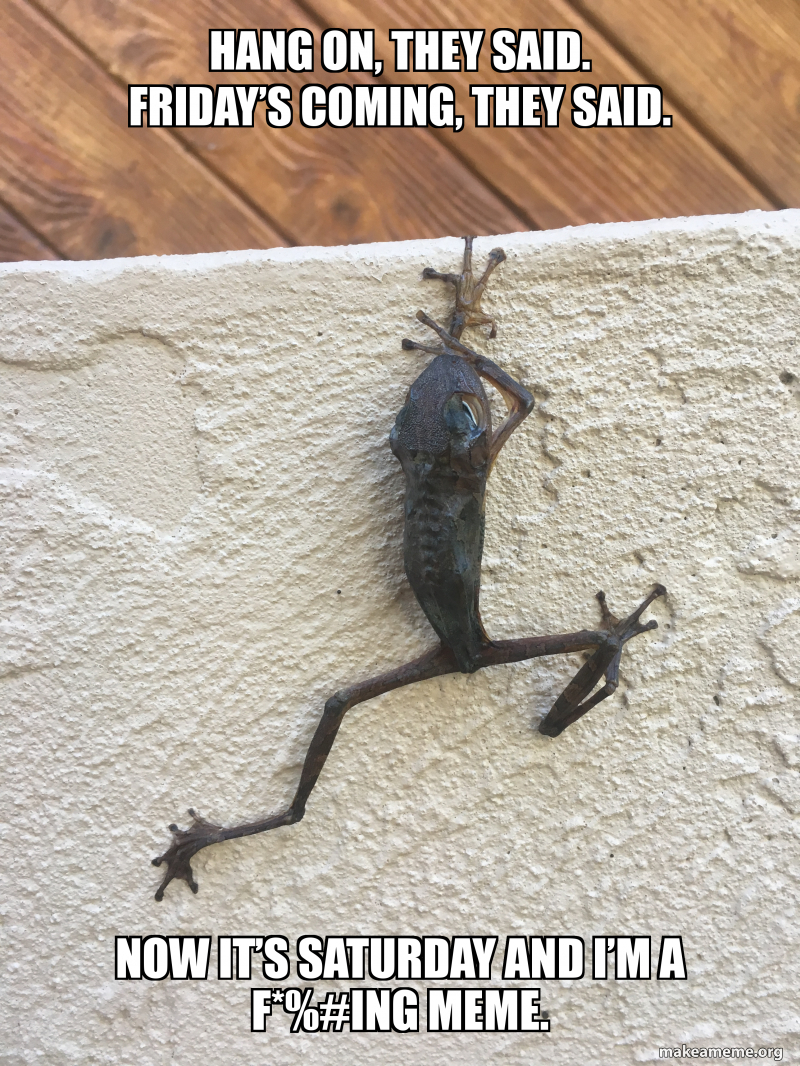 Hang on, they sAid. Fridayâ€™s coming, they said. Now iTâ€™s saturdAy ...