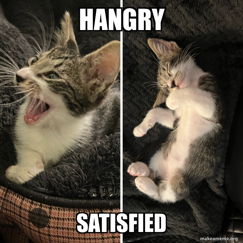 Hangry Satisfied Meme Generator