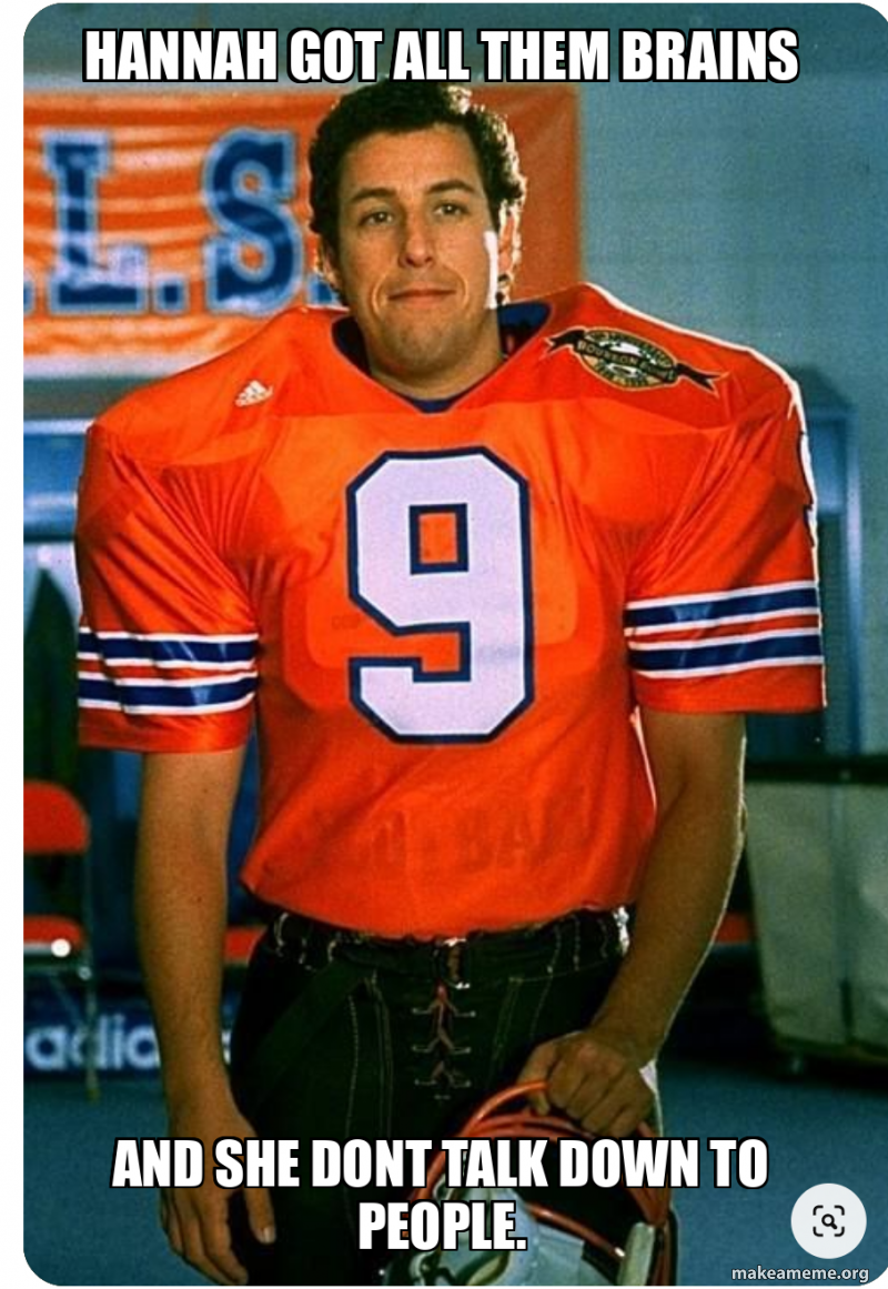 HANNAH GOT ALL THEM BRAINS AND SHE DONT TALK DOWN TO PEOPLE. Meme Generator