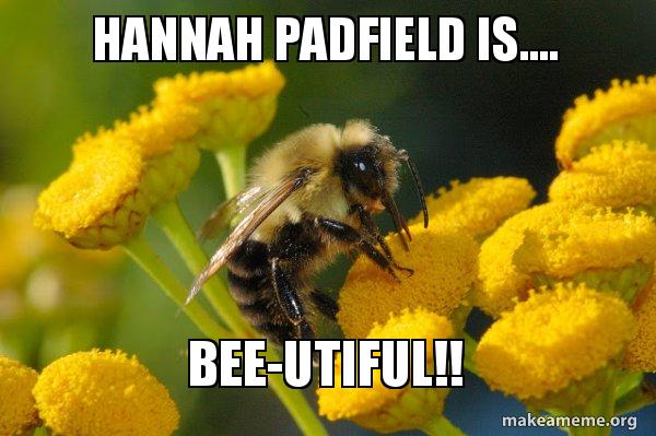 HANNAH PADFIELD IS.... BEE-UTIFUL!! - Good Guy Bee Meme Generator