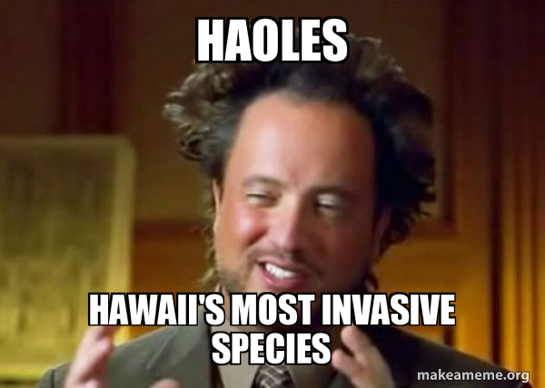 Funny Haole Memes 50 Funny Hawaii Memes To Make You Laugh, Brah!