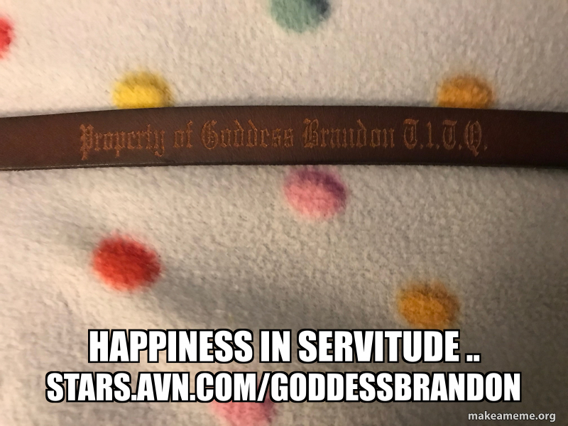 Happiness in Servitude .. stars.avn.com/goddessbrandon Meme Generator