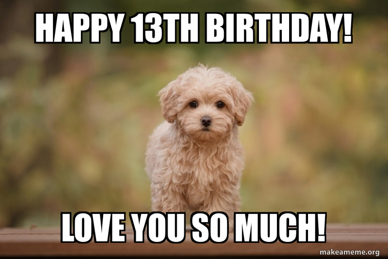 Happy 13th Birthday! Love you so Much! Meme Generator