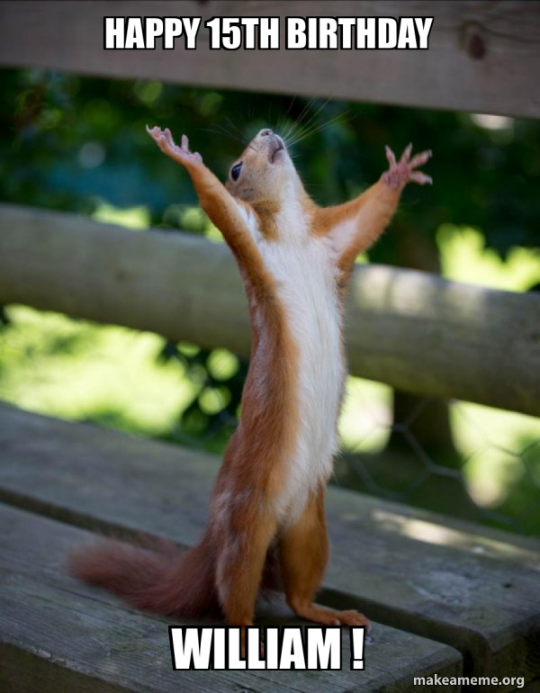 happy 15th birthday william ! - Happy Squirrel Meme Generator