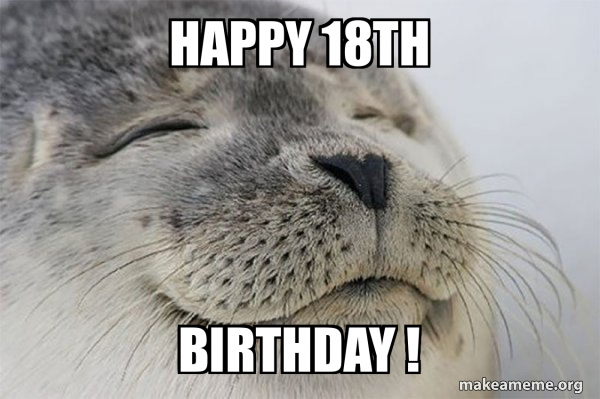 happy 18th birthday ! - Satisfied Seal Meme Generator