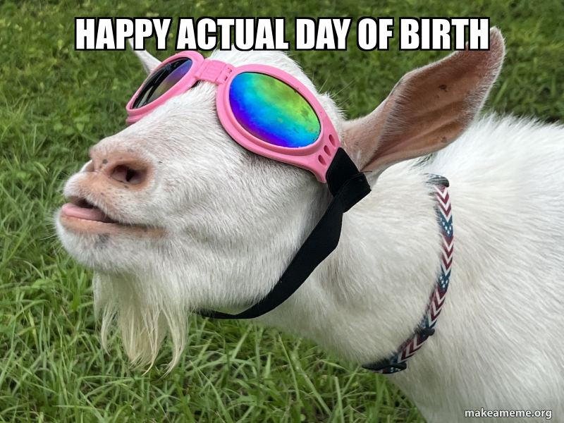 HAPPY ACTUAL DAY OF BIRTH Meme Generator