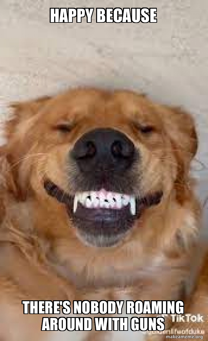 HAppy Because There's nobody roaming around with guns Meme Generator