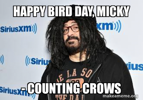 Happy bird day, micky - counting crows Meme Generator