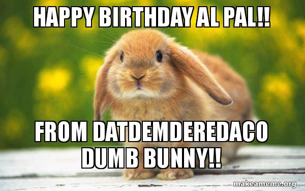 Funny Bunny Birthday Memes