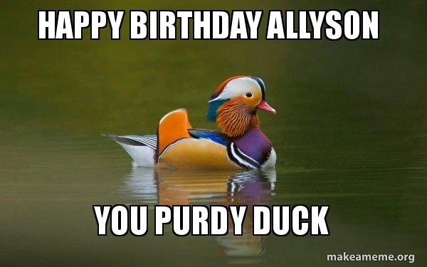 HAPPY BIRTHDAY ALLYSON You Purdy Duck - Fashionable Advice Mallard Meme ...