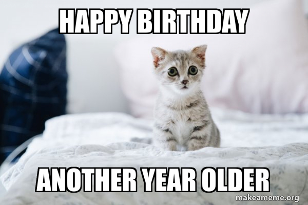 Happy Birthday Another year older - Cute Kitten Meme Generator
