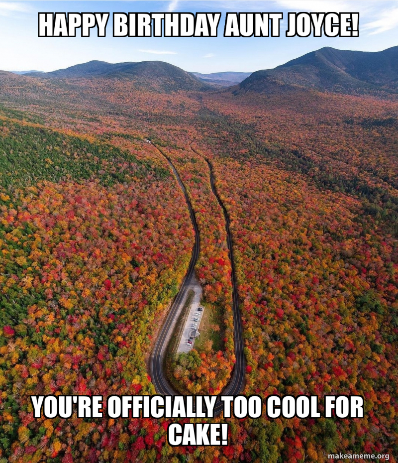 Happy Birthday Aunt Joyce! You're officially too cool for cake! Meme ...