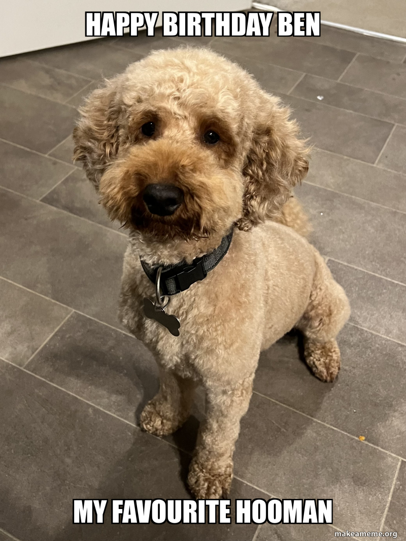 Happy birthday ben My favourite hooman Meme Generator