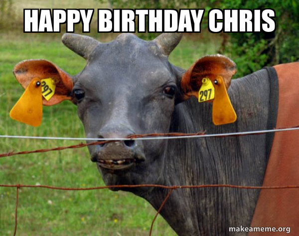 Happy Birthday Chris - Hairless Cow Meme Generator