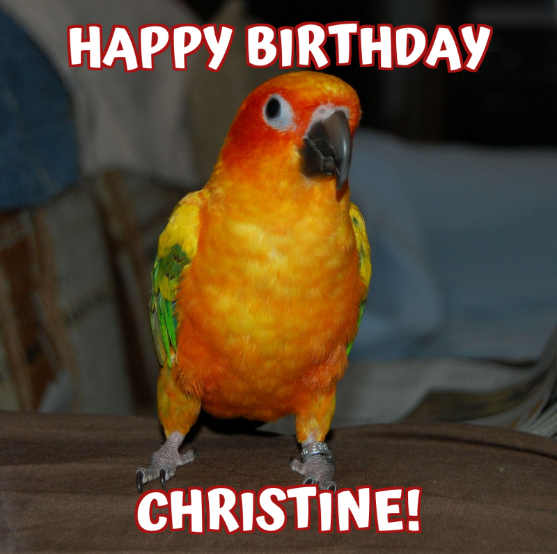 happy birthday Christine! Meme Generator