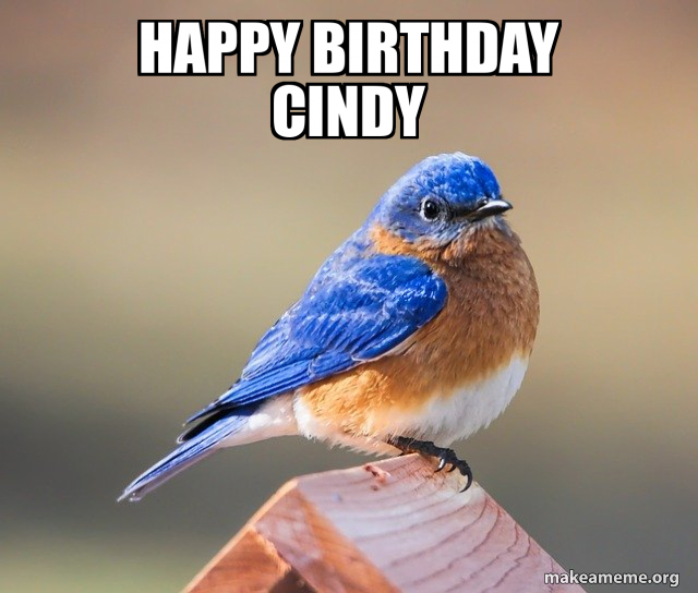 HAPPY BIRTHDAY CINDY Meme Generator
