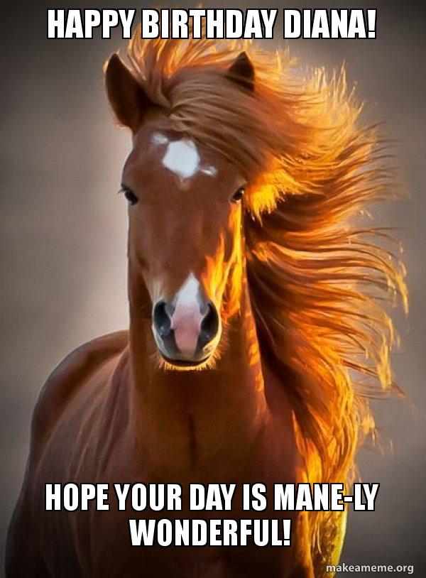 Happy Birthday Diana! Hope your day is mane-ly wonderful ...