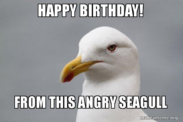 Angry Birthday Memes This Is My Happy Birthday Song And It Isn't Very